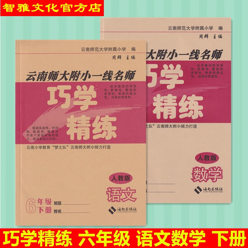 云南师大附小一线名师巧学精练6六年级语文数学下册人教版提优书 语文 六年级下