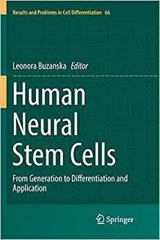 Human Neural Stem Cells: From Generation