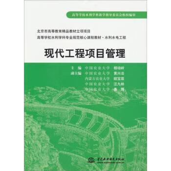现代工程项目管理 杨培岭 编【好书，下单速发】