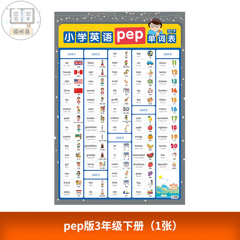生单词人教PEP版三四五六年级上下册彩色挂图纸 三年级下册（1张）