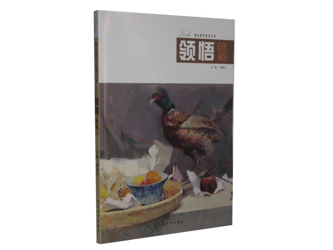 领悟色彩 霍星光 主编【书】