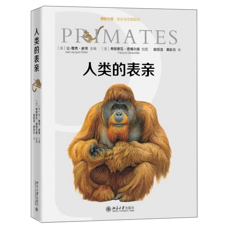 人类的表亲 博物文库