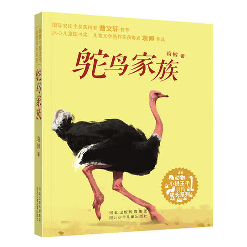鸵鸟家族【精选】