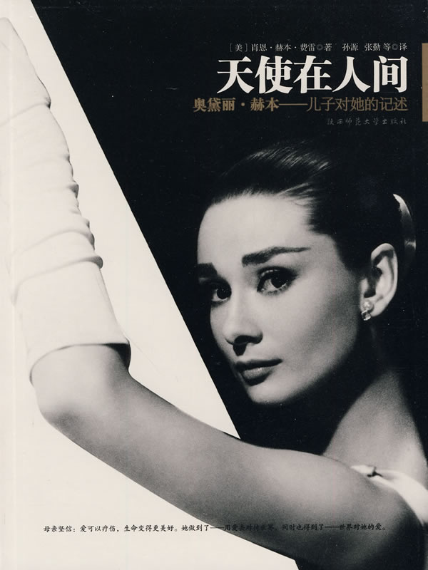 天使在人间 (美)肖恩·赫本·费雷【书】