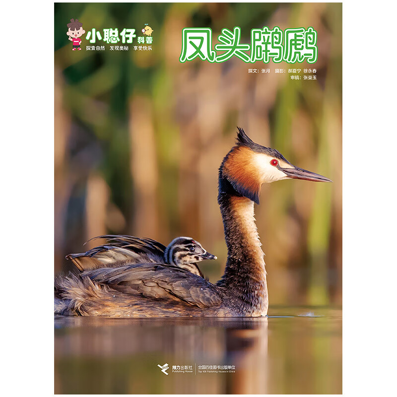 【2023年1-5月现货科普图册+贴纸】小聪仔科普版杂志2022年1-6/7/8/9/10/11/1 2022年3-4月 风头??+盐
