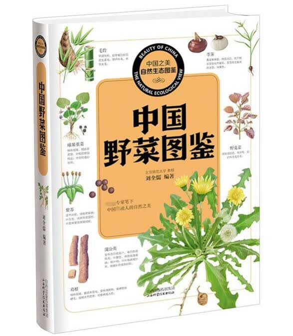 中国野菜图鉴/中国之美自然生态图鉴