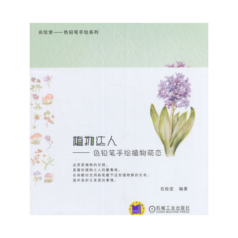 植物达人 色铅笔手绘植物萌态