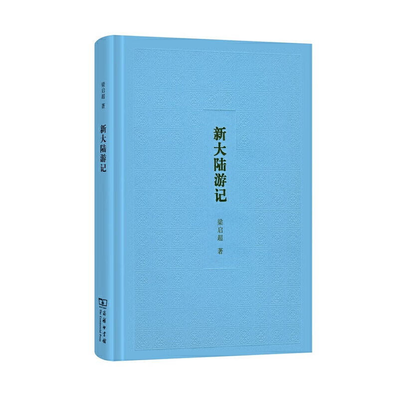 新大陆游记