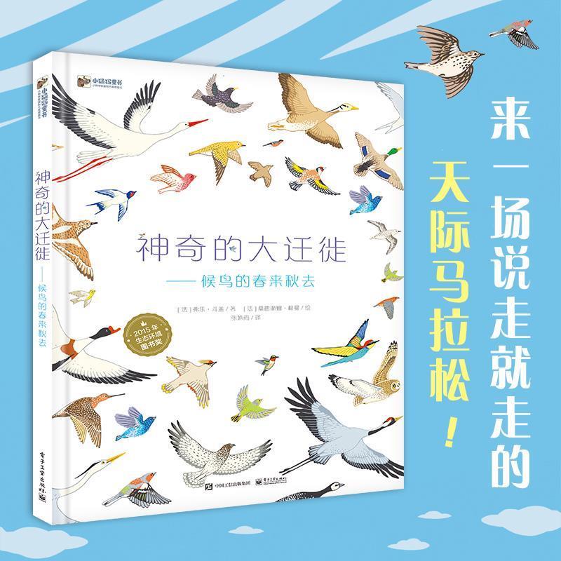 神奇的大迁徒-候鸟的春来秋去