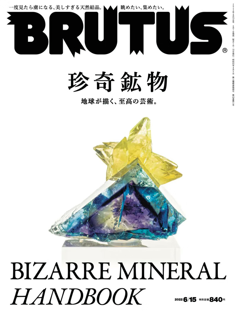 BRUTUS 2022年12月1日号 No. 974期 Who's Next 2022 佐藤健 现货 2022年6月15日号 No. 963期 珍