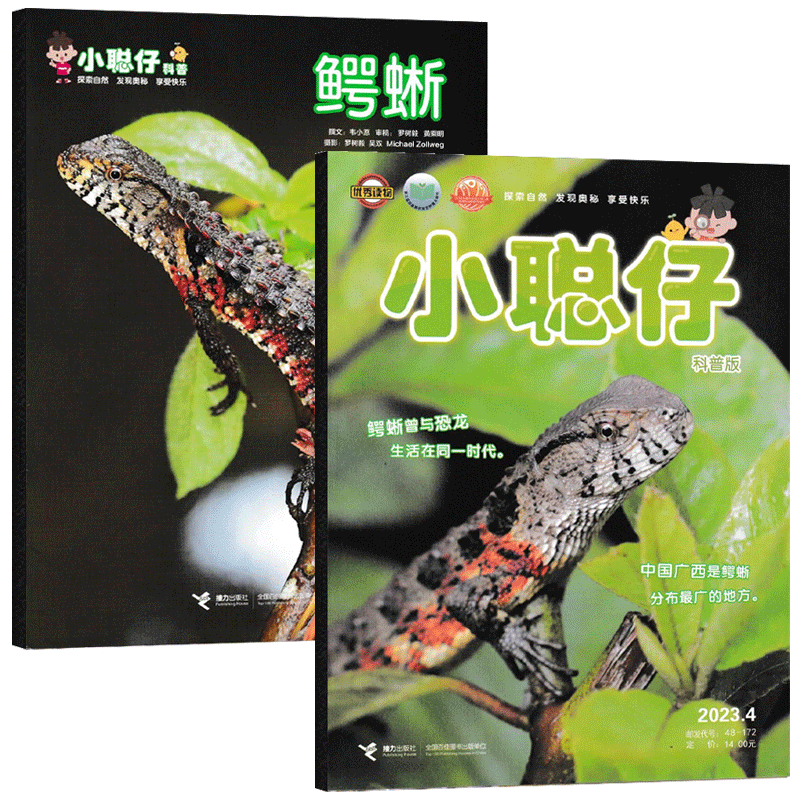 【多期可选】小聪仔（科普版）2023年2~8岁幼儿益智兴趣智力开发儿童科普期刊杂志 2023年4月