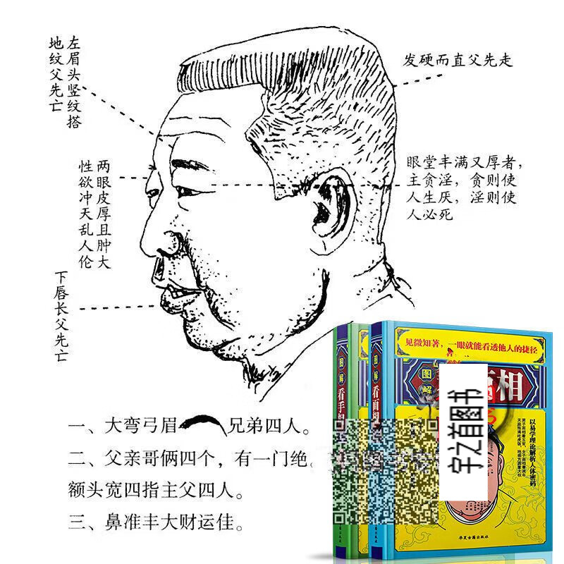 图解版面相手相版面相合集32K实用书籍好书推荐 32开两册合集【强烈推荐】看手+看面