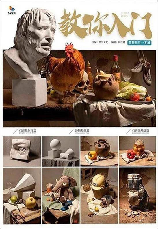 教你入门,静物照片一本通 爱欧编绘 黑龙江美术出版社