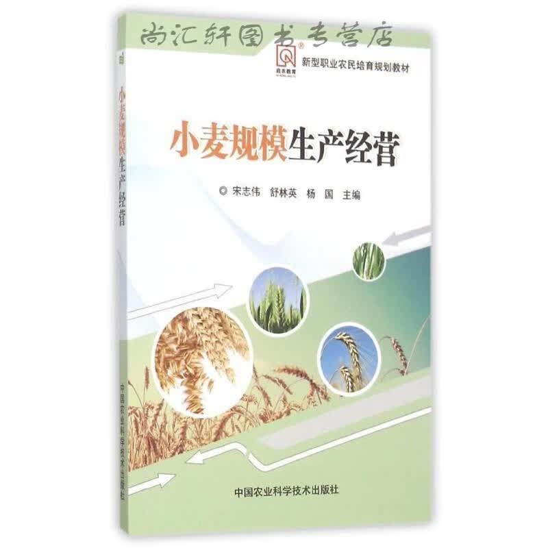 小麦规模生产经营