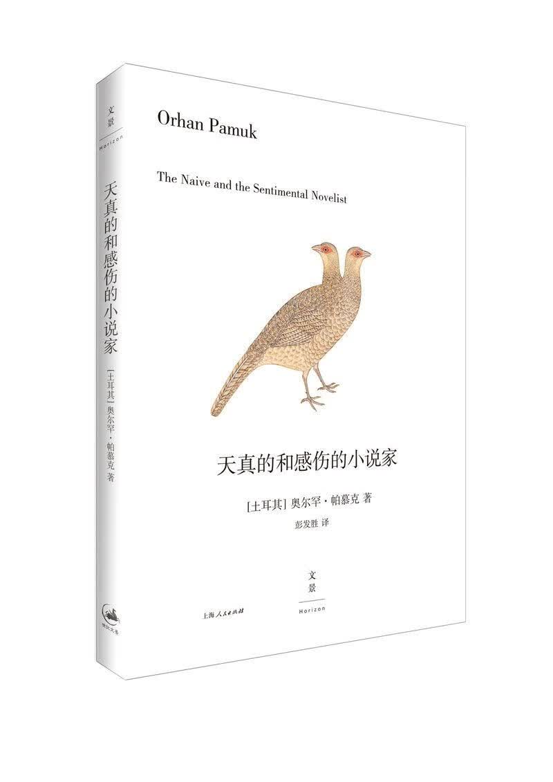 天真的和感伤的小说家