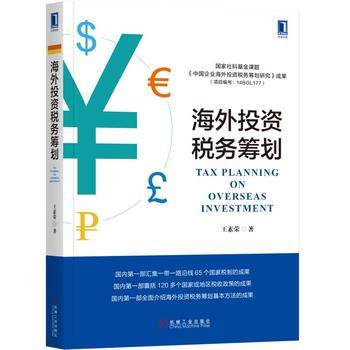 海外投资税务筹划 王素荣 机械工业出版社