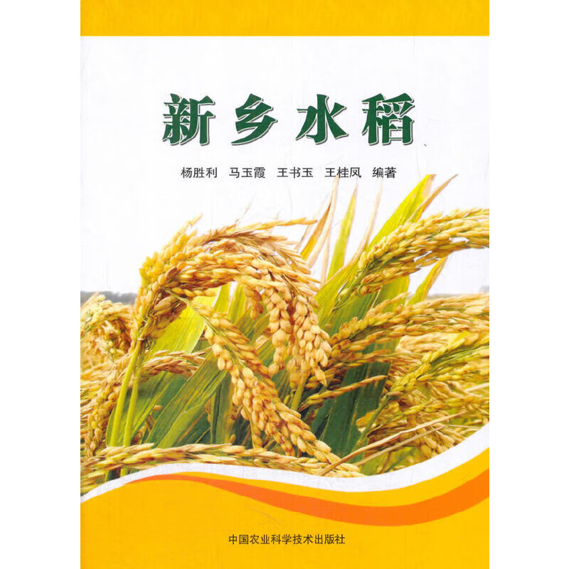 【现货】新乡水稻