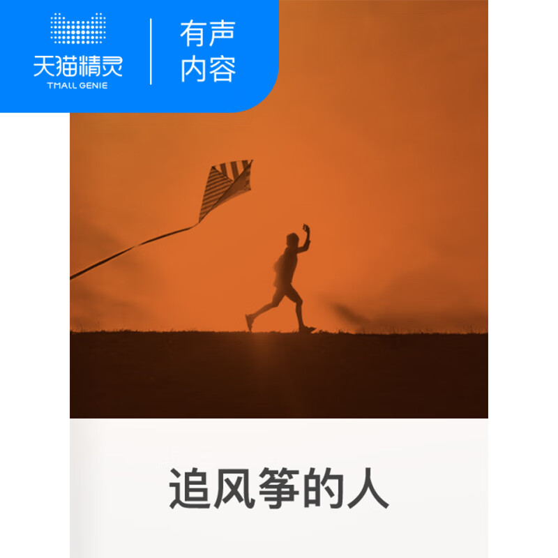 【精灵有声内容】追风筝的人