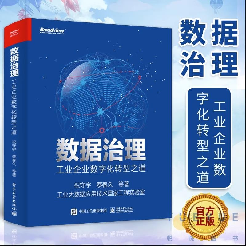 数据标准化+数据治理 企业数据治理的基石 电子工业出版社 数据治理