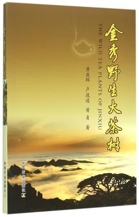 金秀野生大茶树