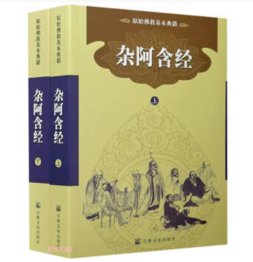 佛教基本典籍 杂阿含经（上下册） 杂阿含经(简体横排版上下册)宗教文化