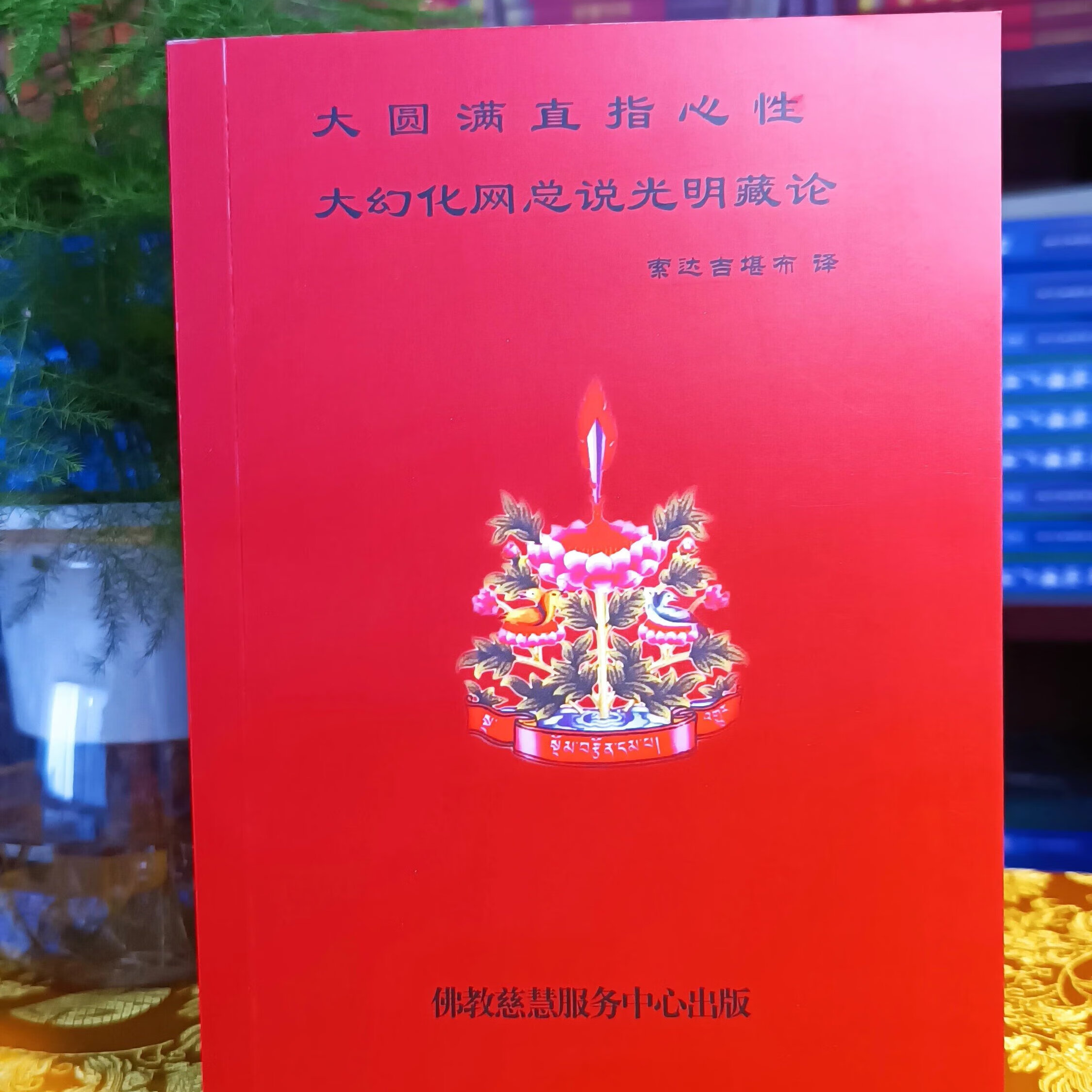 大圆满直指心性 大幻化网总说光明藏论 宁玛密宗总论 密法精要