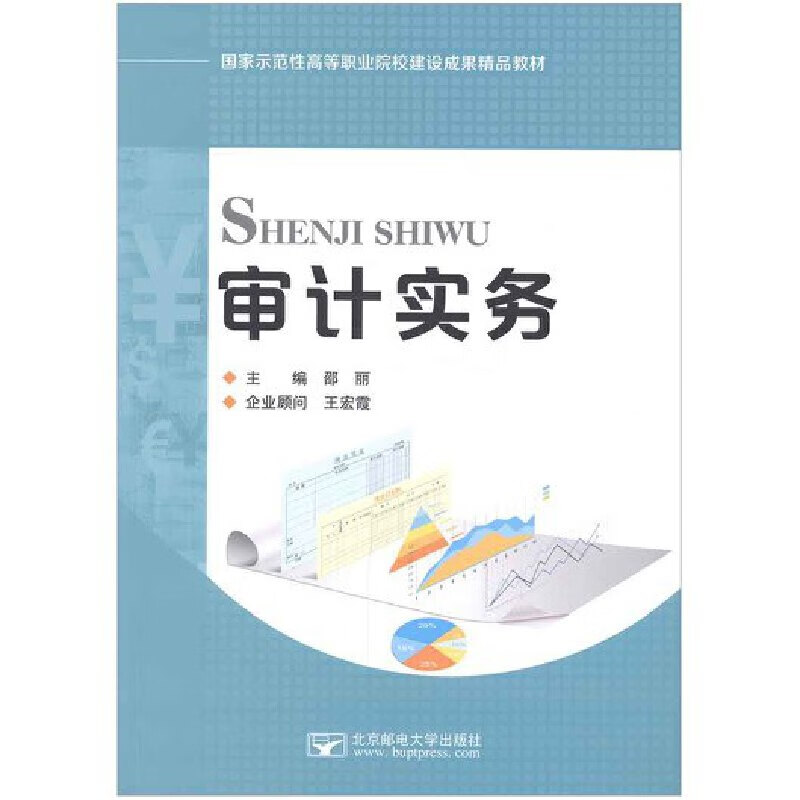 审计实务【好书】