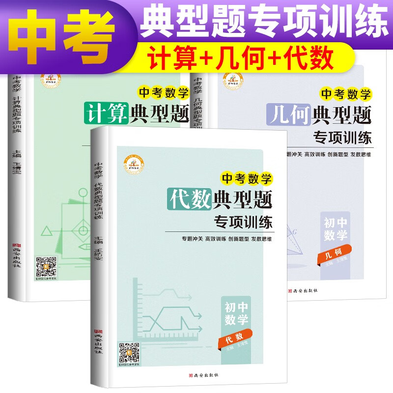 套装3册 典型题专项训练九年级中考全套 九年级代数专项训练+几何专项训练+计算专项训练题型中考数学思维训练举一反三数学专项突破