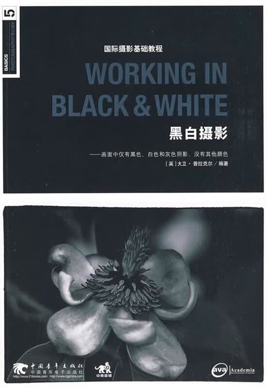 WORKING IN BLACK&WHITE黑白摄影 (英)普拉克尔著,解伟先,解格先译 中国青