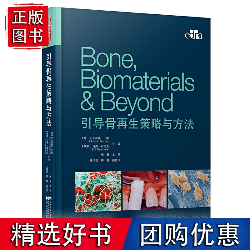引导骨再生策略与方法