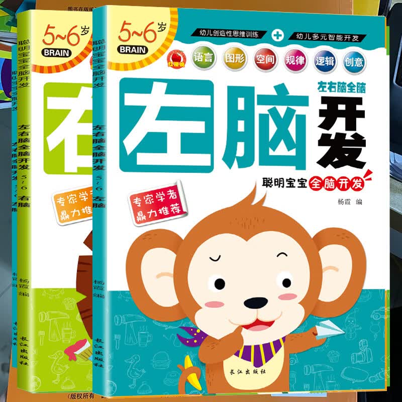 4-5岁左右脑全脑开发思维训练2-3-6岁益智儿童书籍专注力训练走迷宫连线数字书找相同形状配对玩具幼小衔接教 【5-6岁】左脑+右脑开发