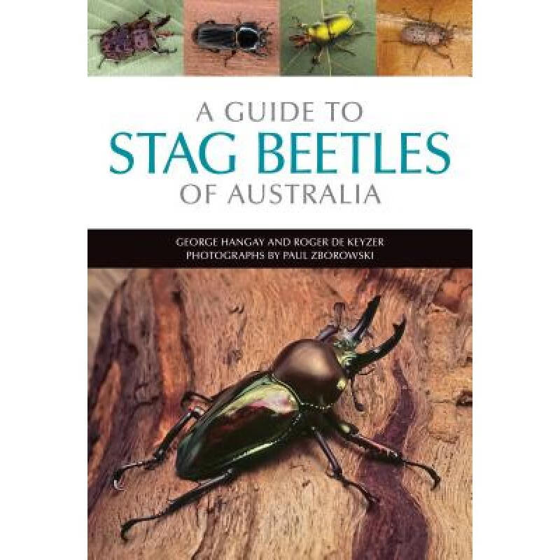 A Guide to Stag Beetles of Australia
