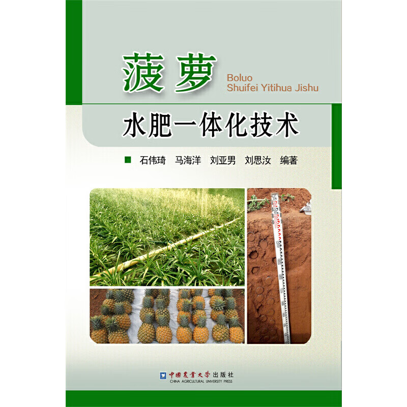 菠萝水肥一体化技术