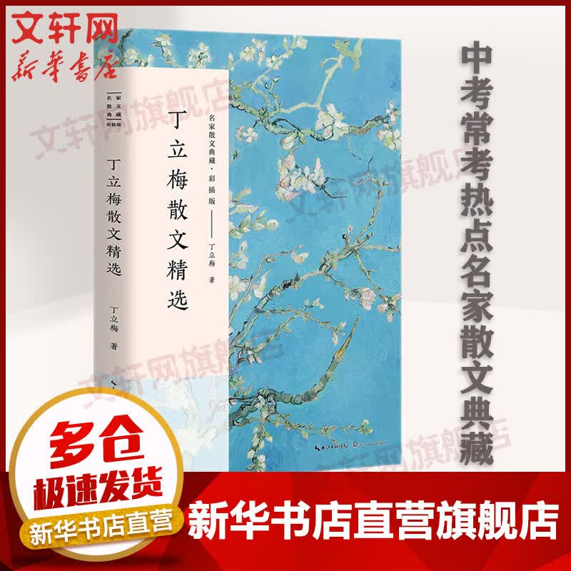 丁立梅散文 丁立梅散文精选
