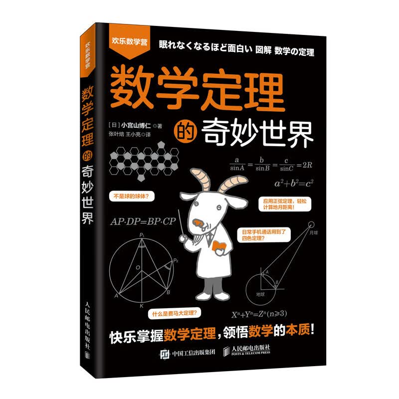 数学定理的奇妙世界/欢乐数学营