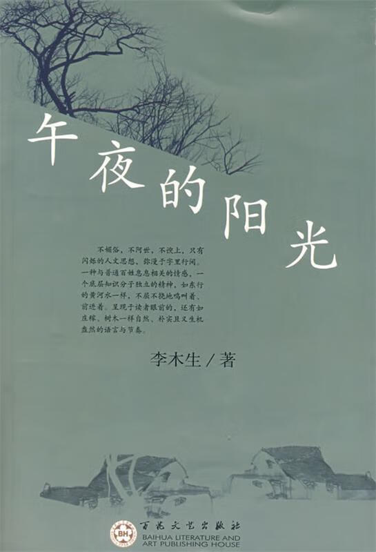 午夜的阳光 李木生 著