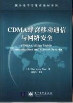 CDMA蜂窝移动通信与网络安全 袁超伟