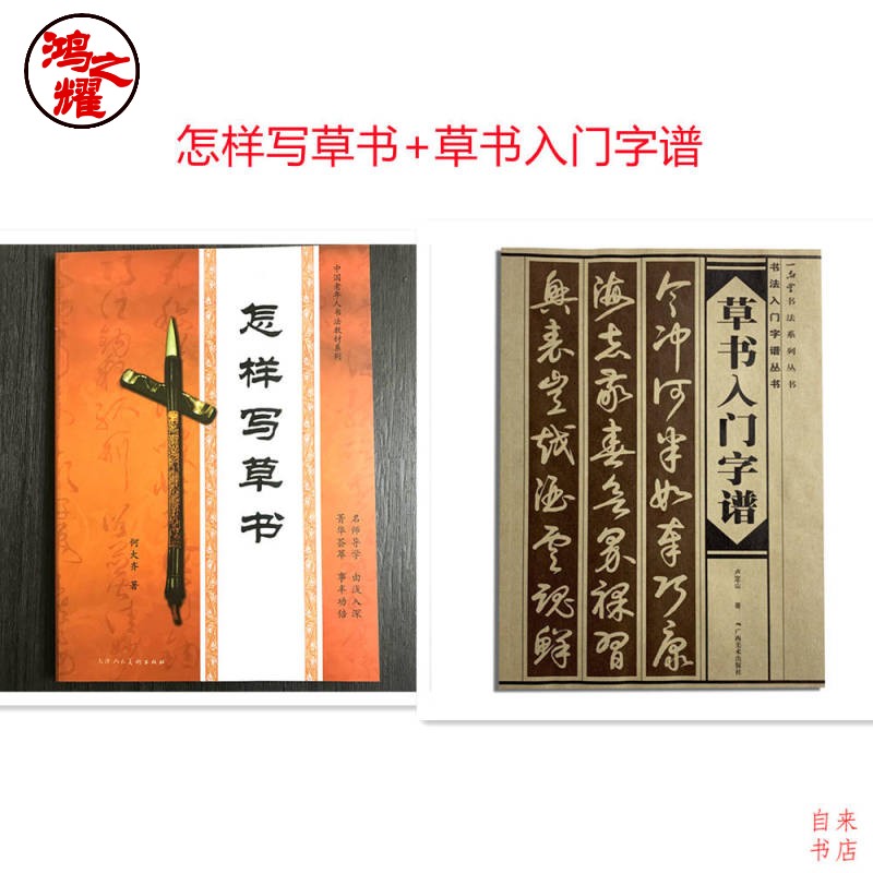 【老师推荐】怎样写草书入门字谱初学者毛笔练习教程 书法名人推荐教材 主图 （两本套装）