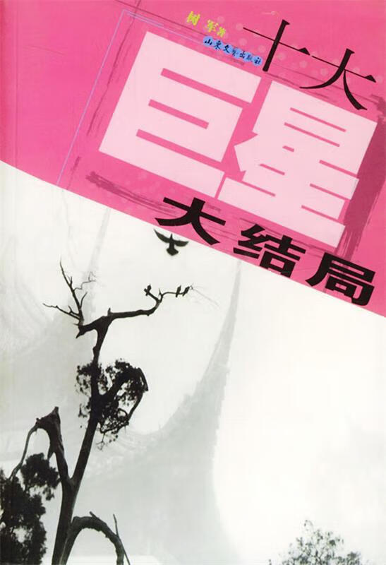 十大大结局