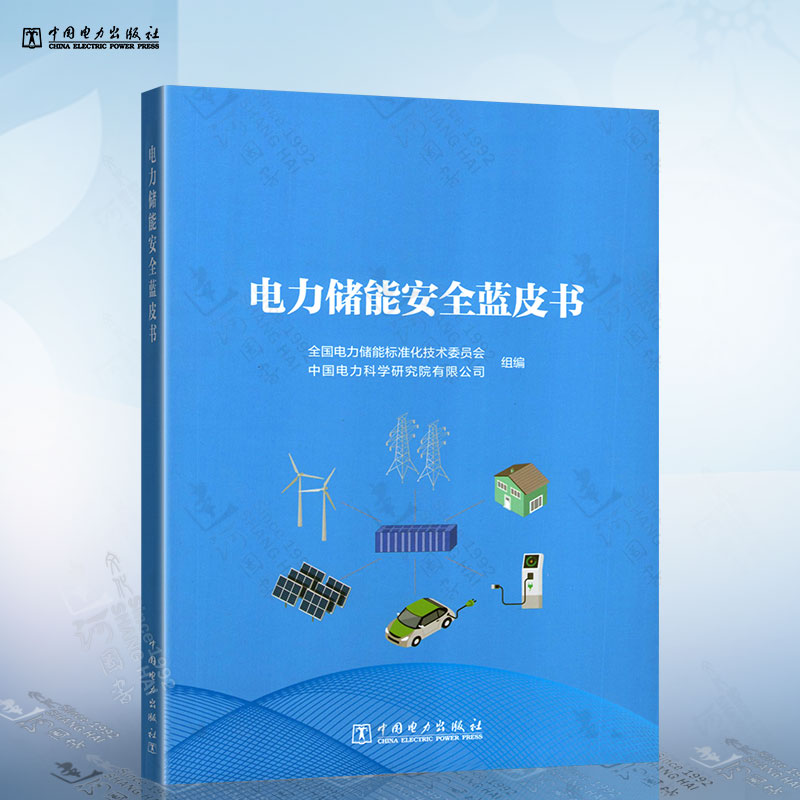 电力储能安全蓝皮书