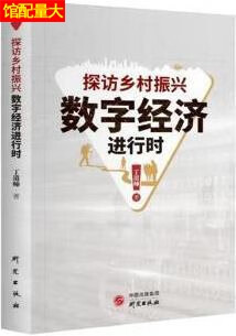 探访乡村振兴-数字经济进行时 丁道师 著 研究出版社