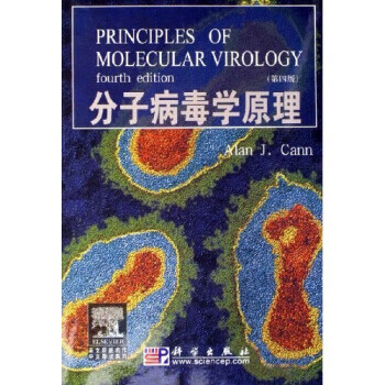 分子病毒学原理 卡恩,[美]卡恩（CamnA.）
