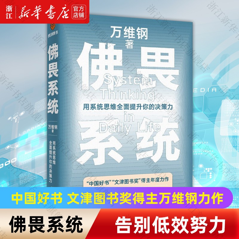 佛畏系统：用系统思维全面提升你的决策力 万维钢 得到