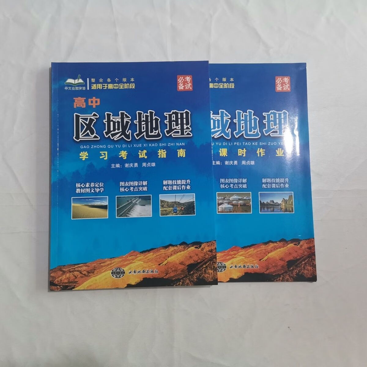 2023版 高中区域地理 学习考试指南 考试 整合各个版本 课时作业单本