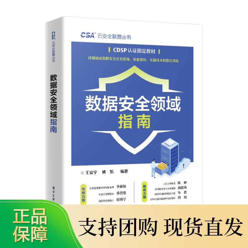 数据安全领域指南 王安宇著 电子工业出版社
