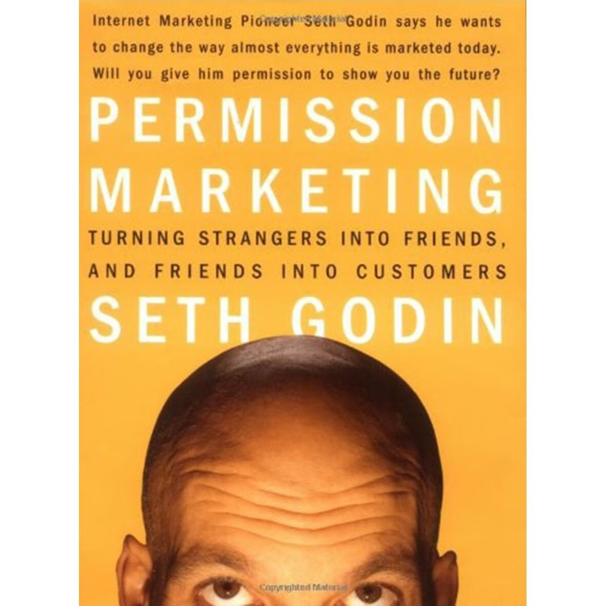 Permission Marketing: Turning Strangers纸质