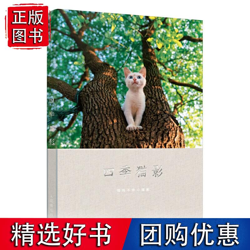 四季猫影