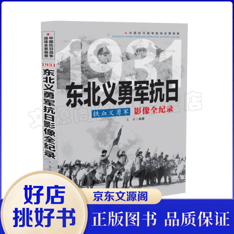 1931 铁血义勇军：东北义勇军抗日影像全纪录 中国抗日战争战场全景画卷
