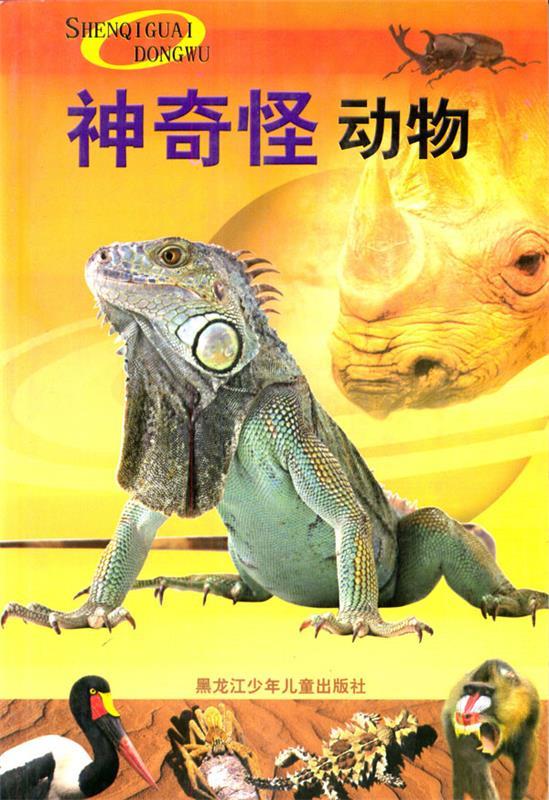 神奇怪动物