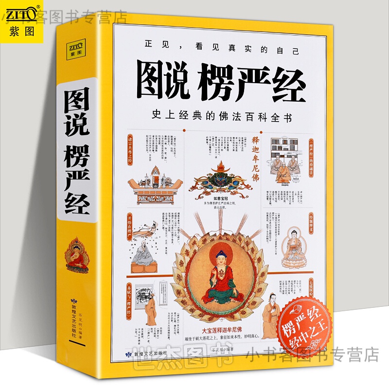 可选 图说金刚经+心经+楞严经 经典图解版文白对照 佛经佛学书籍入门佛教十三经原文解释 图说楞严经 史上经典的佛法百科全书